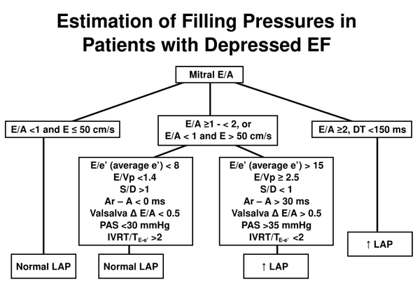 Normal Values - Echopedia