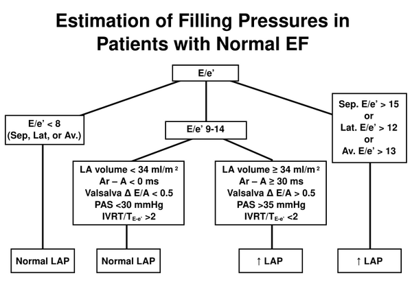 Normal Values - Echopedia