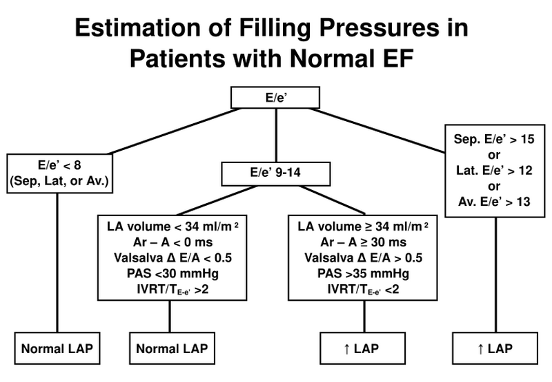 Normal Values - Echopedia