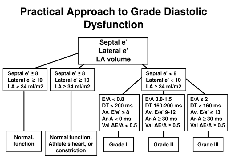 Normal Values - Echopedia